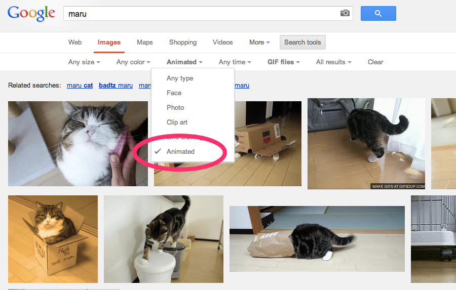 You can now search Google for animated GIFs